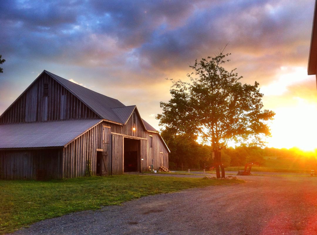 Work With Us - Gorman Produce Farm - Howard County Maryland