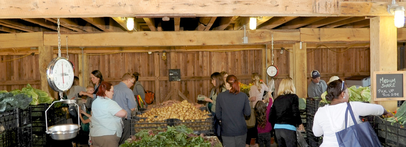 Work With Us - Gorman Produce Farm - Howard County Maryland