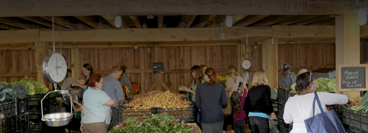 Gorman Produce Farm CSA - Howard County Maryland